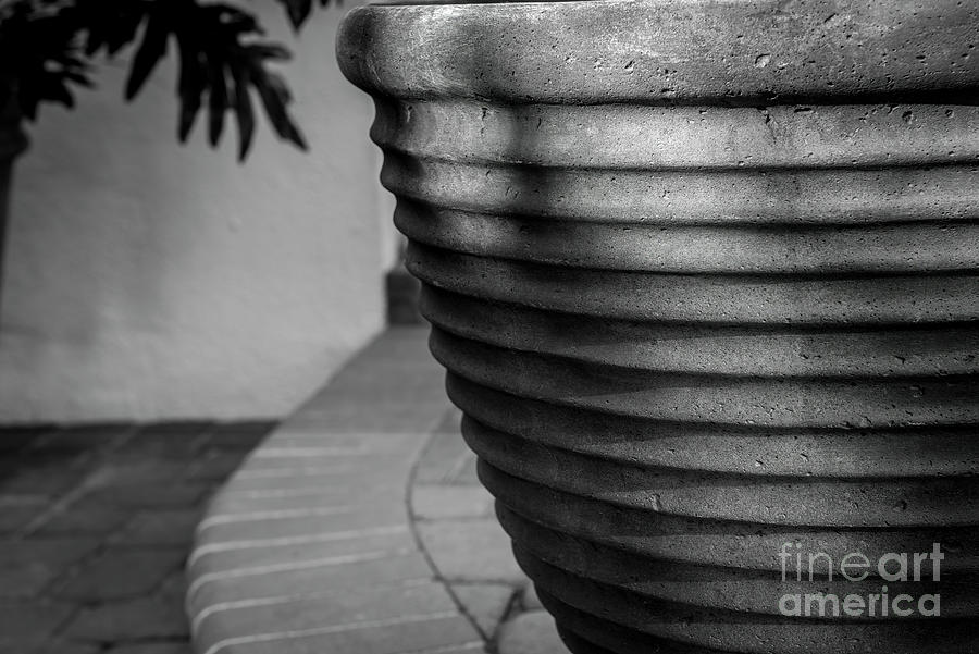 Side Lines 2019 Photograph By Michael Ziegler Fine Art America