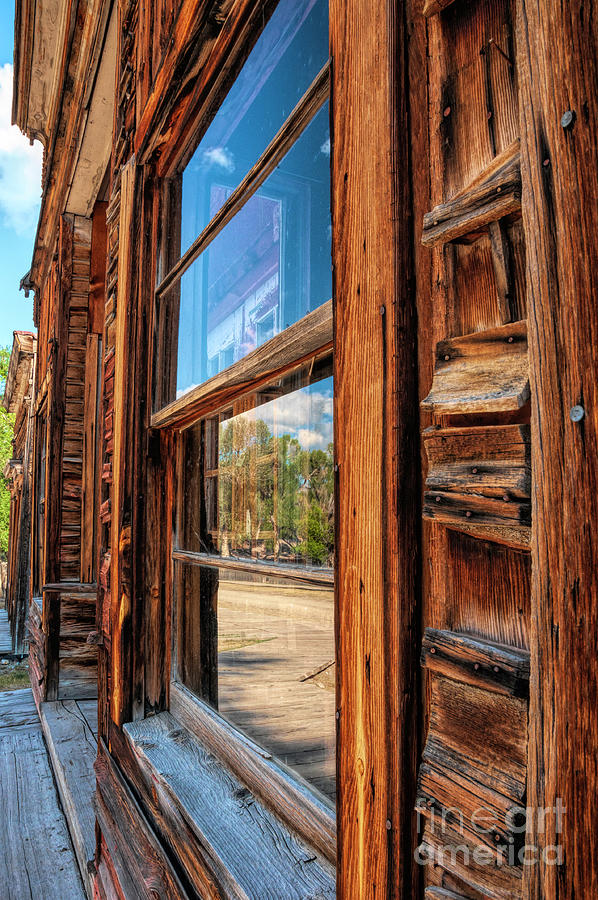 Side Window View Photograph by Pamela Dunn-Parrish - Pixels