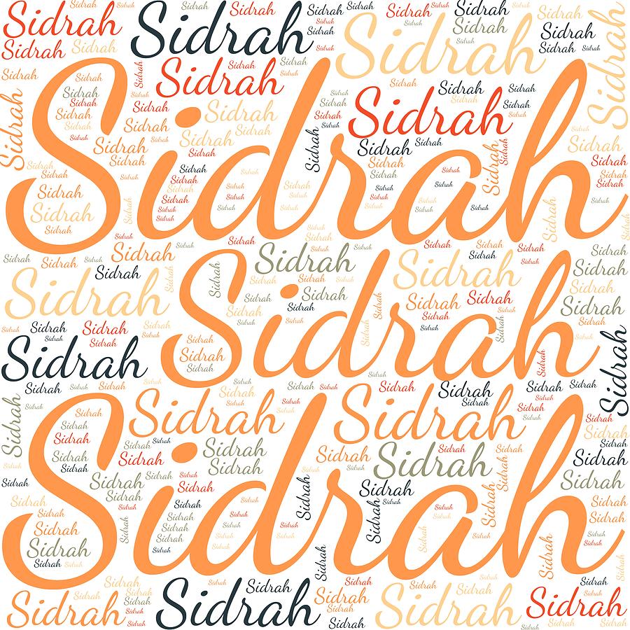 Sidrah Digital Art by Vidddie Publyshd - Fine Art America