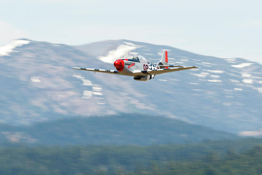 Sierra Stang Photograph by Nicholas Pascarella - Fine Art America