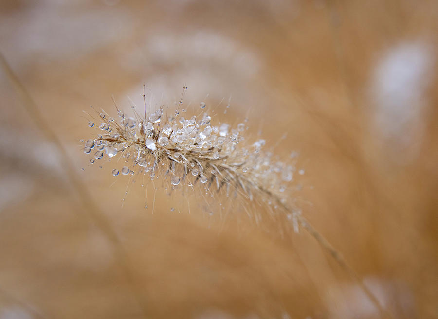Signs of Winter Photograph by Jonathan Cothron - Pixels