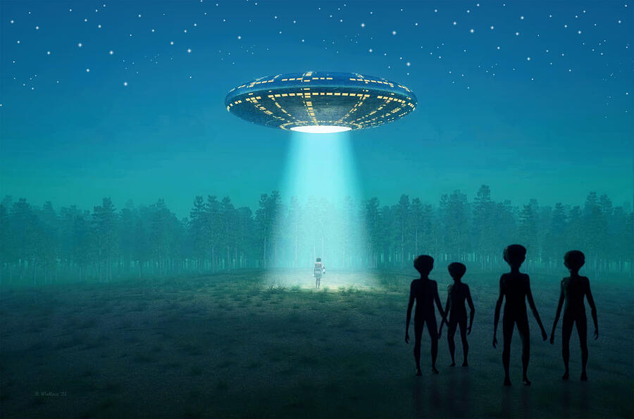 Silhouetted Visitors Digital Art by Brian Wallace - Fine Art America