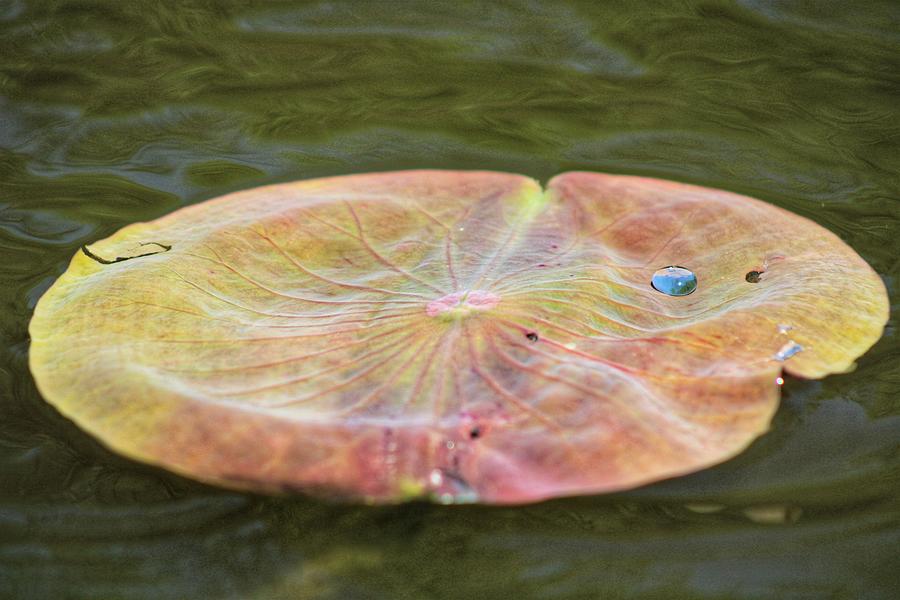 Singularity Photograph by Gregory A Mitchell Photography - Fine Art America