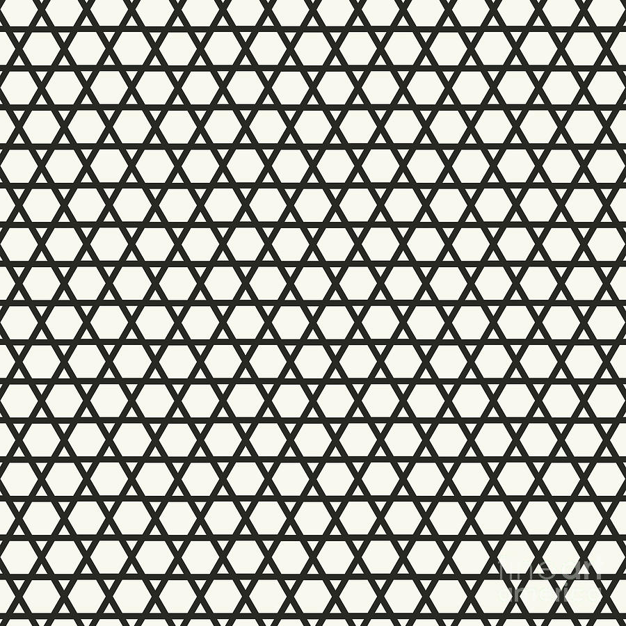 Six Pointed Star Weave Grid Pattern in Bone White And Wrought Iron ...