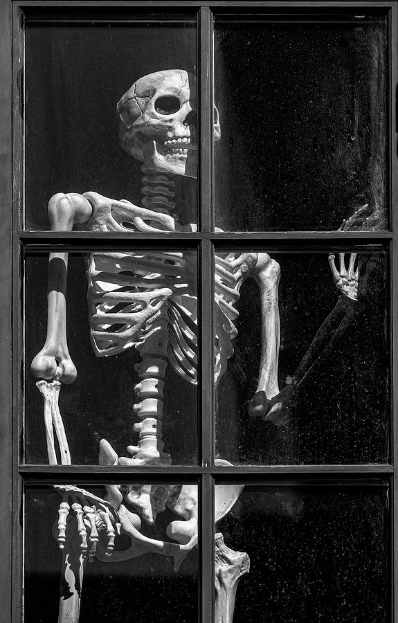 Skeleton in the WIndow Photograph by Robert Ullmann - Fine Art America