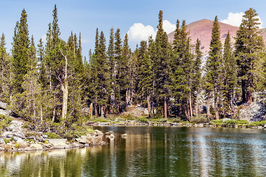 Skelton Lake Photograph by Kelley King | Fine Art America