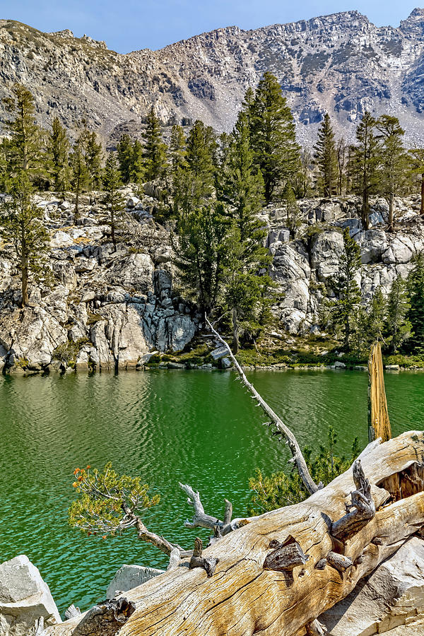 Skelton Lake Portrait Photograph by Kelley King - Fine Art America