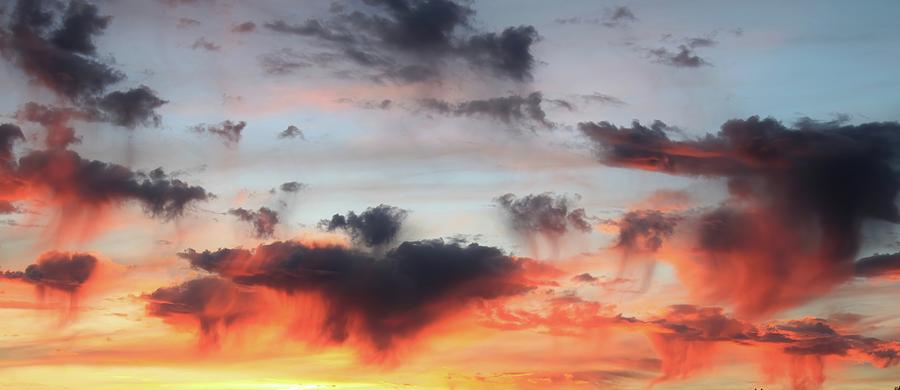 Sky Study 2 Photograph by David Beard