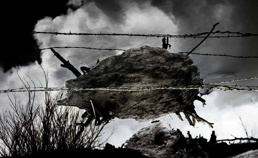 Skywater boundary Photograph by Wesley Hahn | Pixels