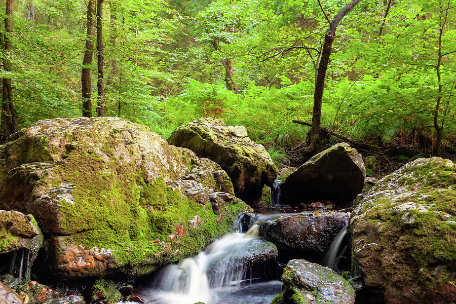 Small waterfall as part of a river through the forest Photograph by ...