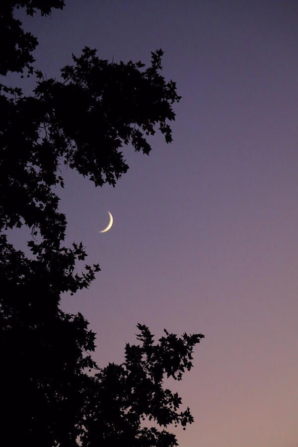 Smile Moon Photograph by Julie Maxwell - Fine Art America