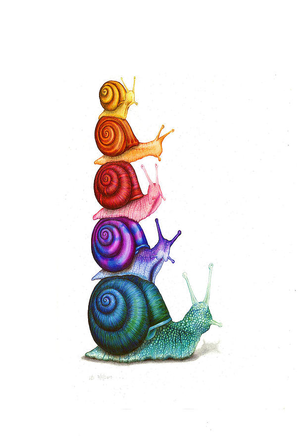 Snail Stack Painting by Kdb - Fine Art America