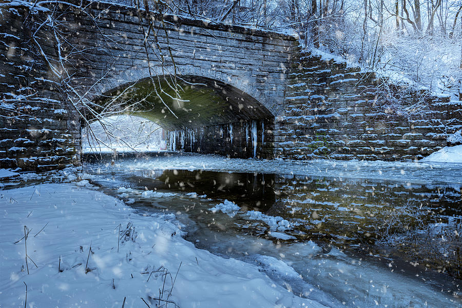 Snowy Stream Photograph by Zach Hall - Fine Art America