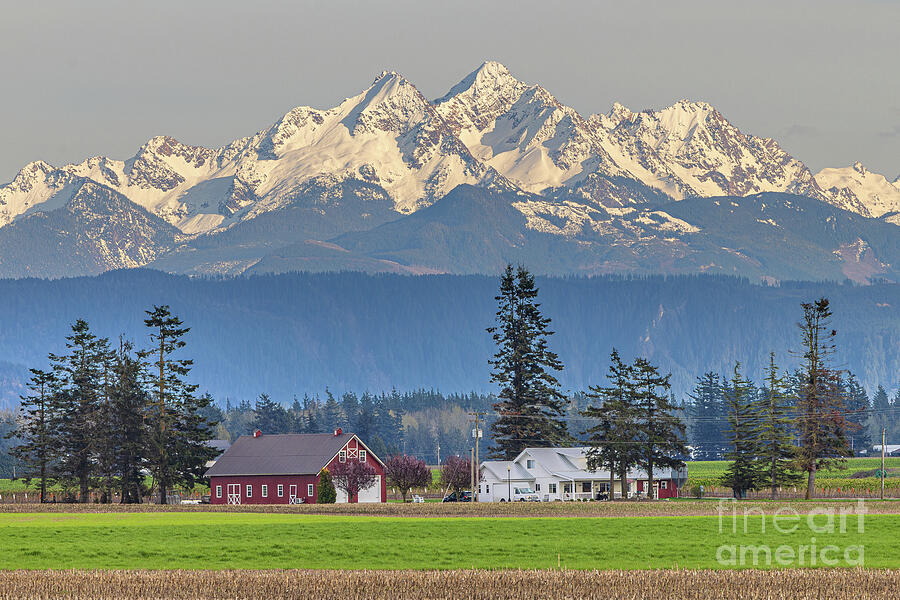 So Composed Photograph by Randy Small - Fine Art America