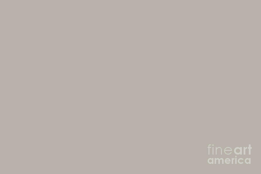 Soft Light Dusty Gray - Grey Solid Color Pairs PPG City Street PPG1018 ... Soft Light Dusty Gray - Grey Solid Color Pairs PPG City Street PPG1018 ...