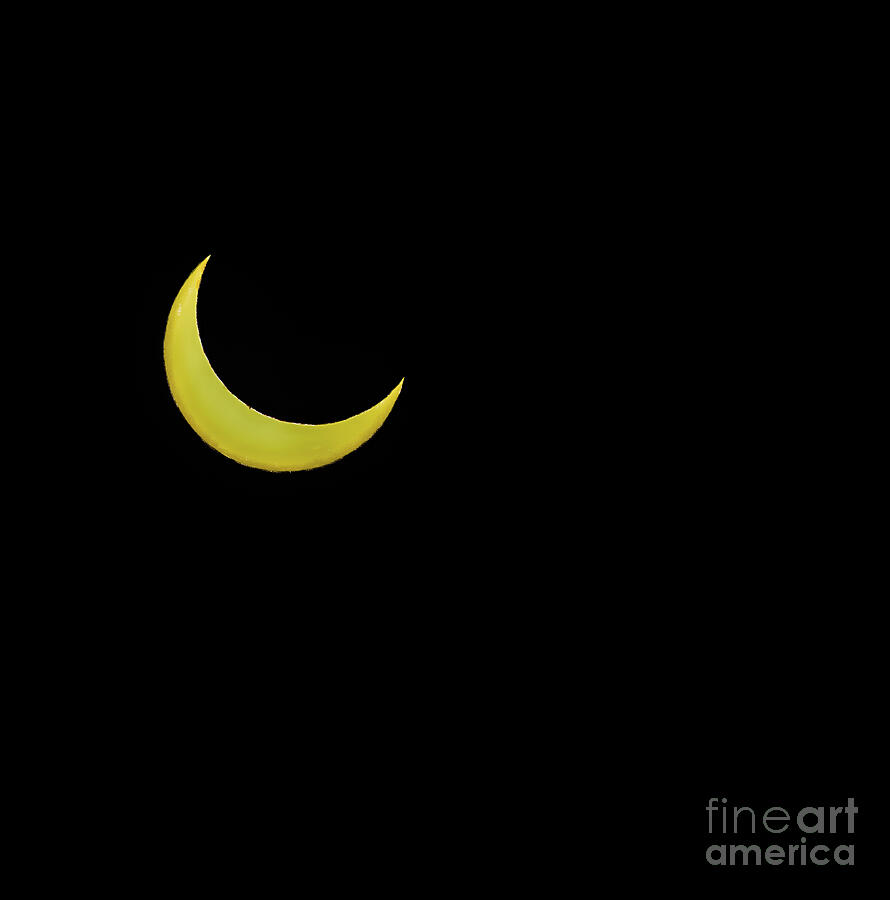 Solar Eclipse Yellow Sun Photograph by Robert Bales - Fine Art America