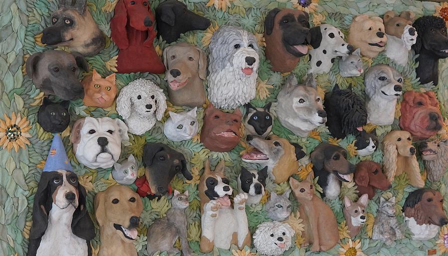 Solid Dogs Photograph by Steven P Brick - Fine Art America