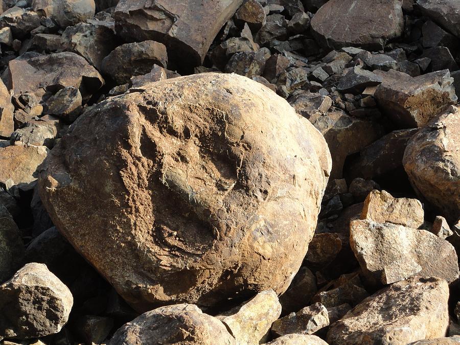 Solid Rock Photograph by Sagar Mane - Fine Art America