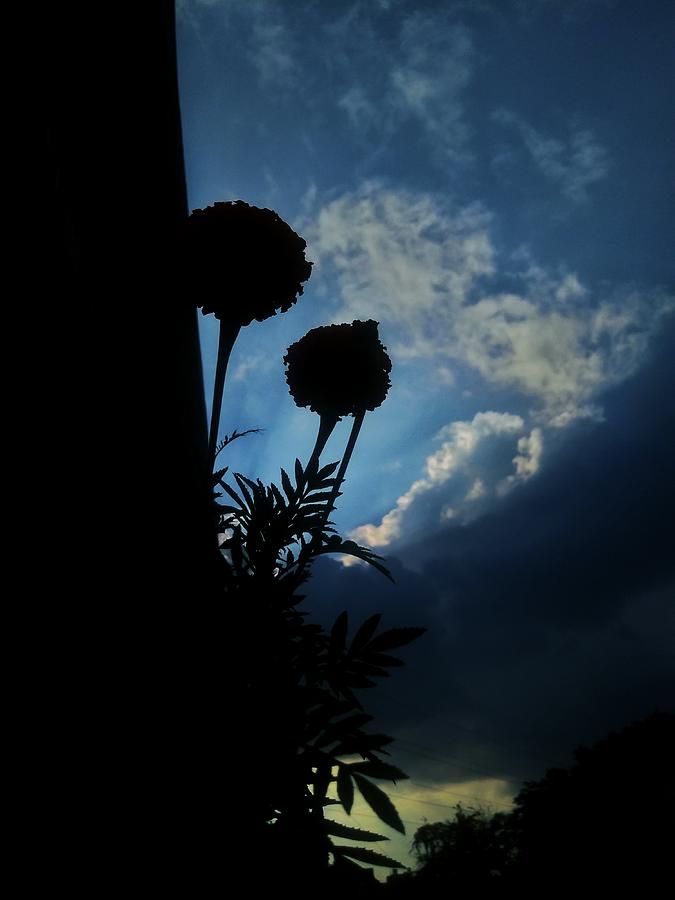 Soothing view Photograph by Sumit Kumar | Fine Art America