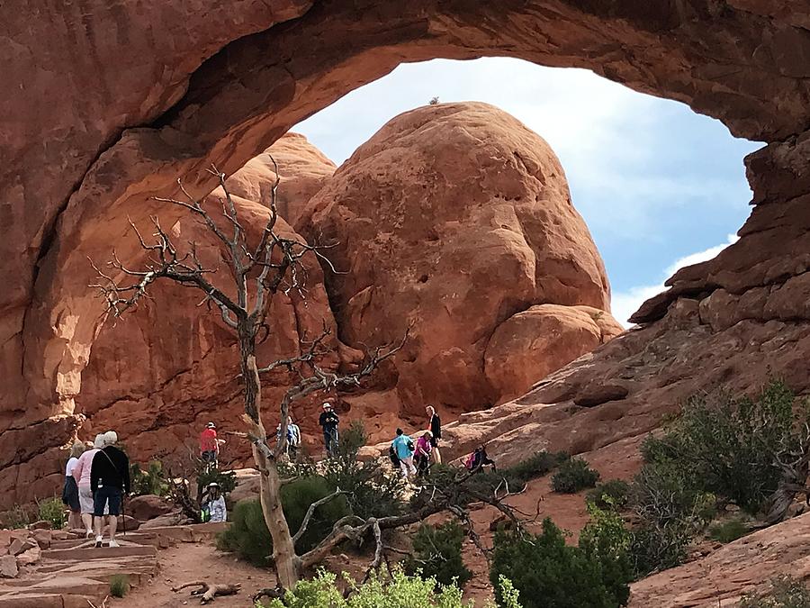 South Arch in the Arches National Park Photograph by Vasanti Deshpande - Fine Art America