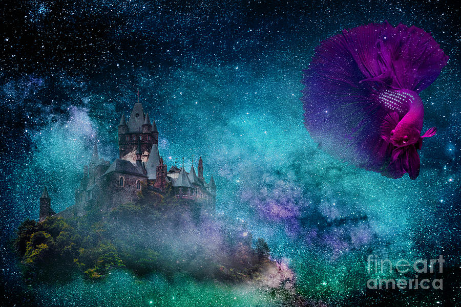 Space Fish Photograph by Shapes Of Light | Fine Art America