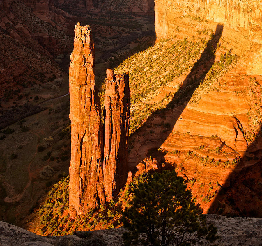 Spider Rock Photograph by Rudolf Volkmann - Fine Art America