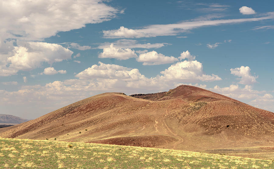 Split Top Photograph by Jim Witkowski - Fine Art America