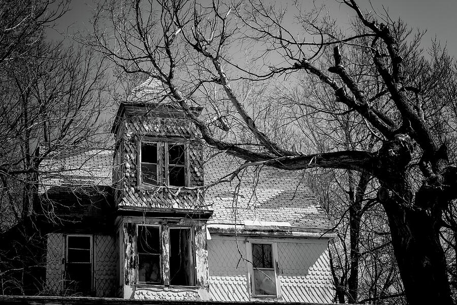 Spooky Photograph by Guy Shultz - Fine Art America