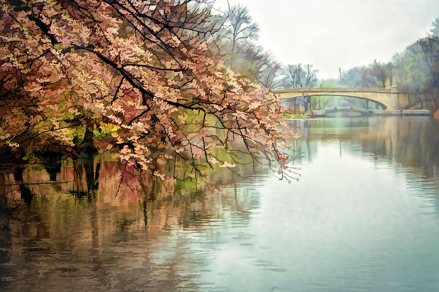 Spring Bridge View Photograph by Eric Goins - Fine Art America
