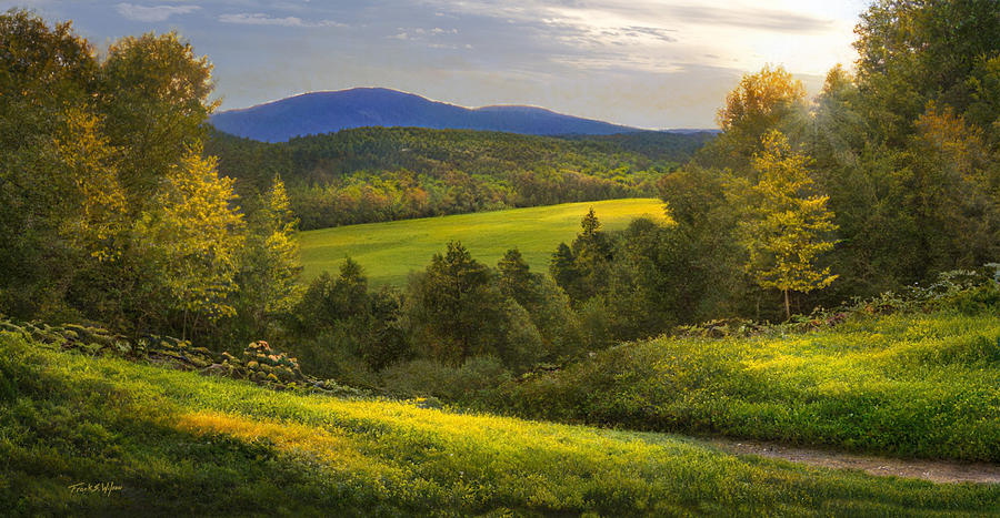 Spring Fields D Digital Art by Frank Wilson - Fine Art America