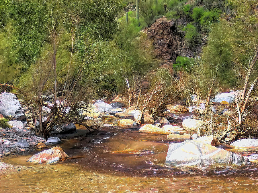 Spring Flow Photograph by Rob Olson - Fine Art America