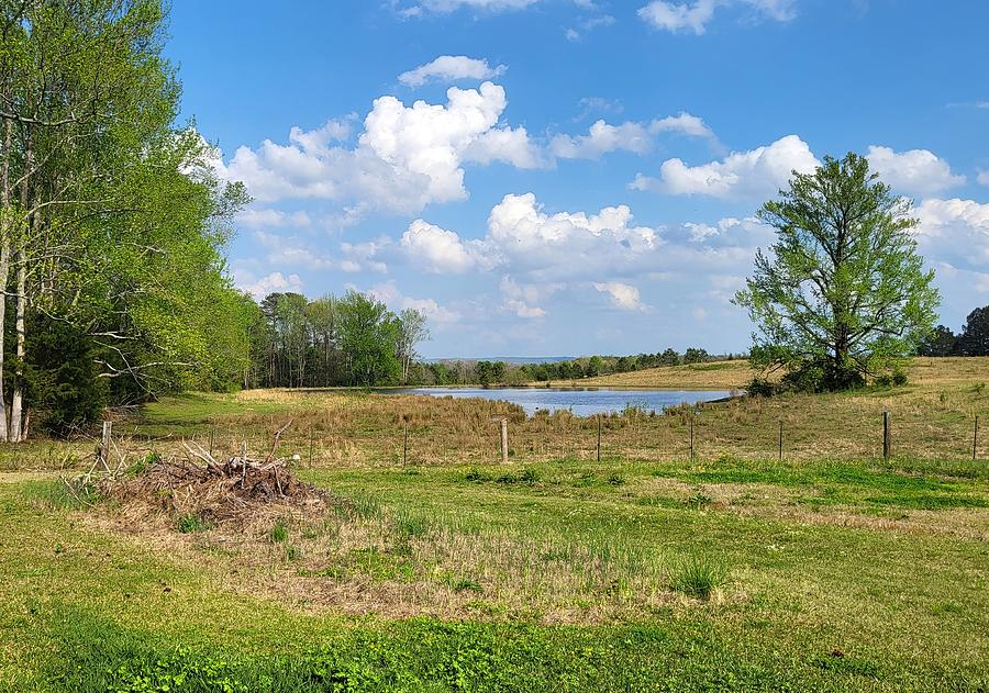 Spring on the Farm - 2023 Digital Art by David Winton - Fine Art America