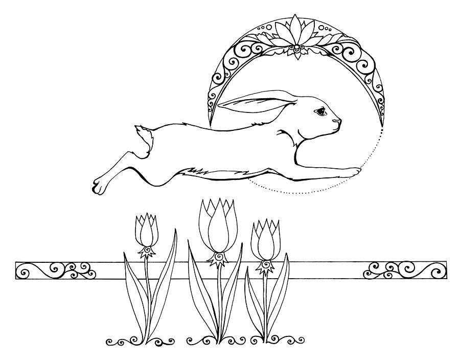 Spring Rabbit Run Drawing by Katherine Nutt - Fine Art America