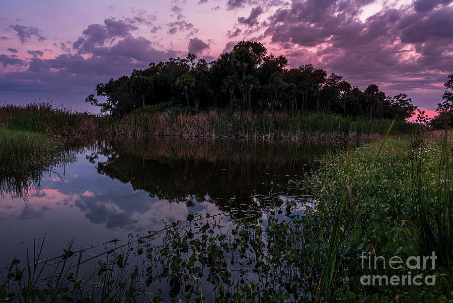 Spring Reflections Photograph by Gwen Kurzen - Fine Art America