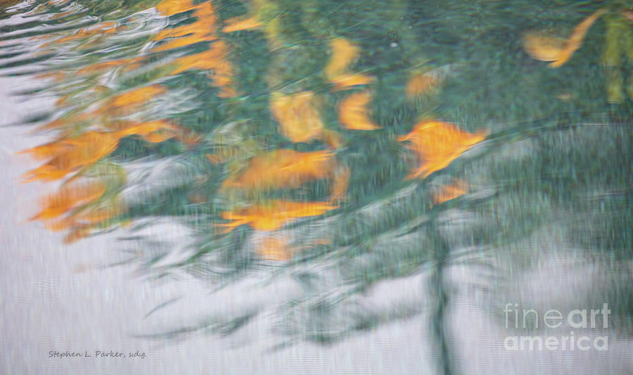 Spring Reflections R11147 Photograph by Stephen Parker | Fine Art America