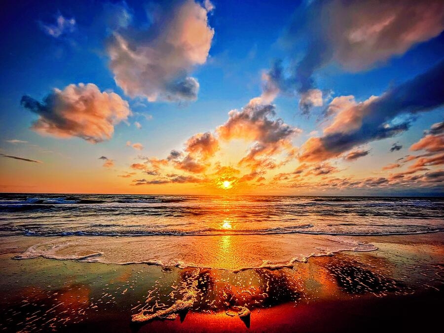 Spring Rising Photograph by Heidi Hutter - Fine Art America