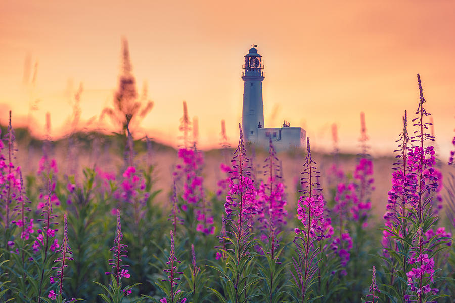 Spring Photograph by Simon Waldram - Fine Art America