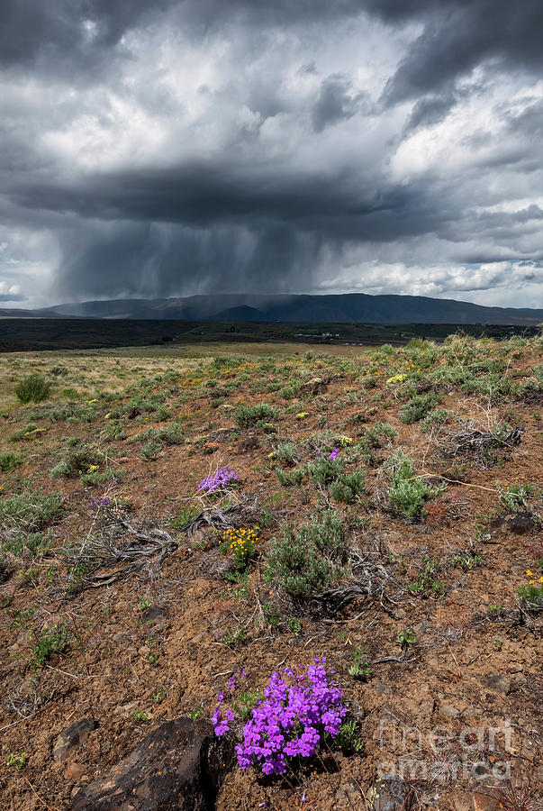 Spring Storm Path Photograph by Michael Dawson - Fine Art America