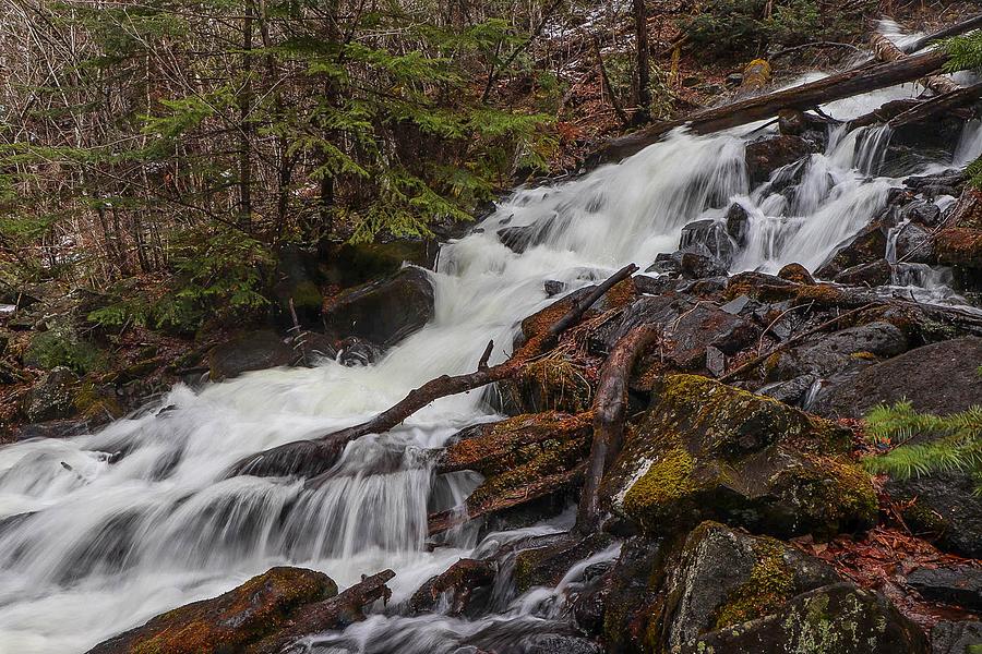 Spring Thaw Photograph by Gary Arands - Fine Art America