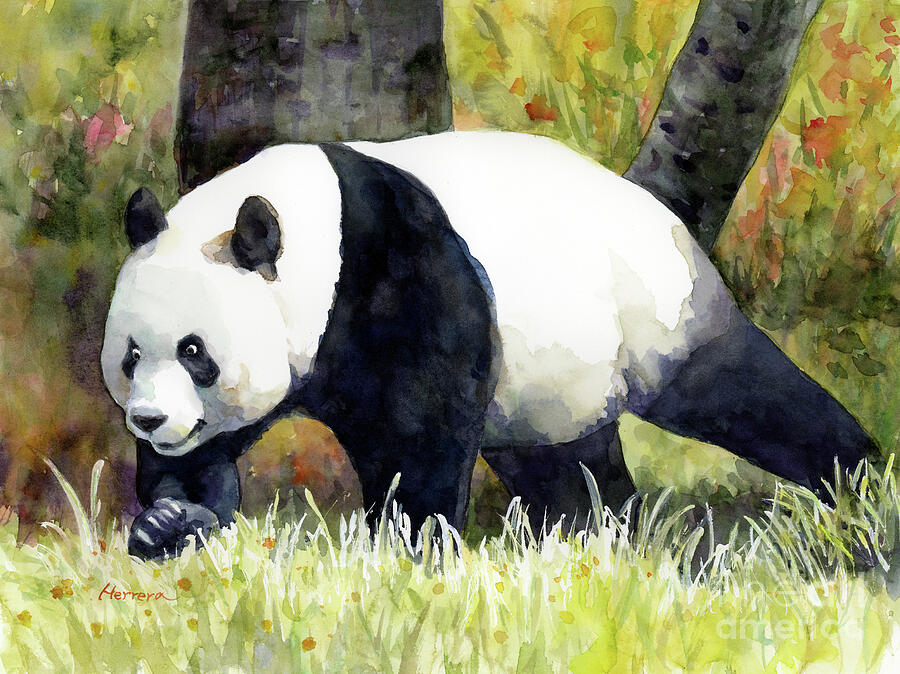Springtime Panda Painting by Hailey E Herrera - Fine Art America