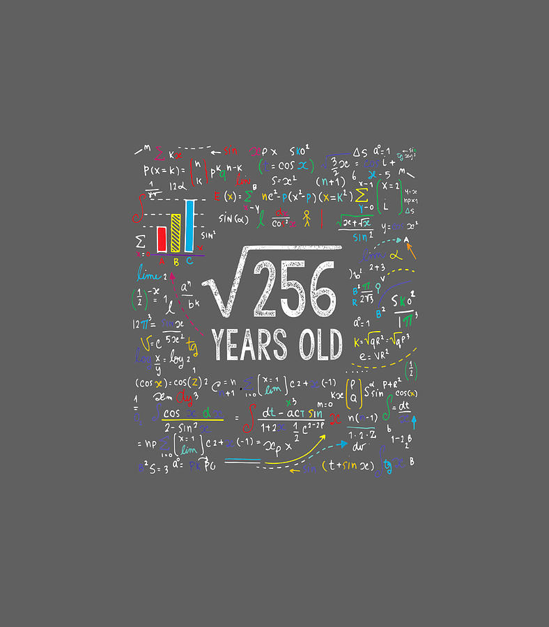 Square Root Of 256 16th Birthday 16 Year Old Math Bday Digital Art by ...