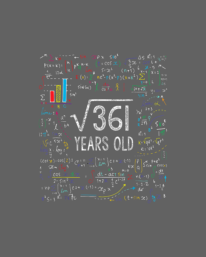 Square Root Of 361 19th Birthday 19 Year Old Math Bday Digital Art by ...