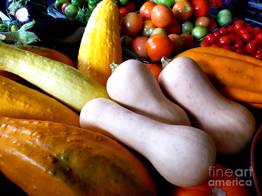 Squash Table Photograph by Owls View Studio | Fine Art America