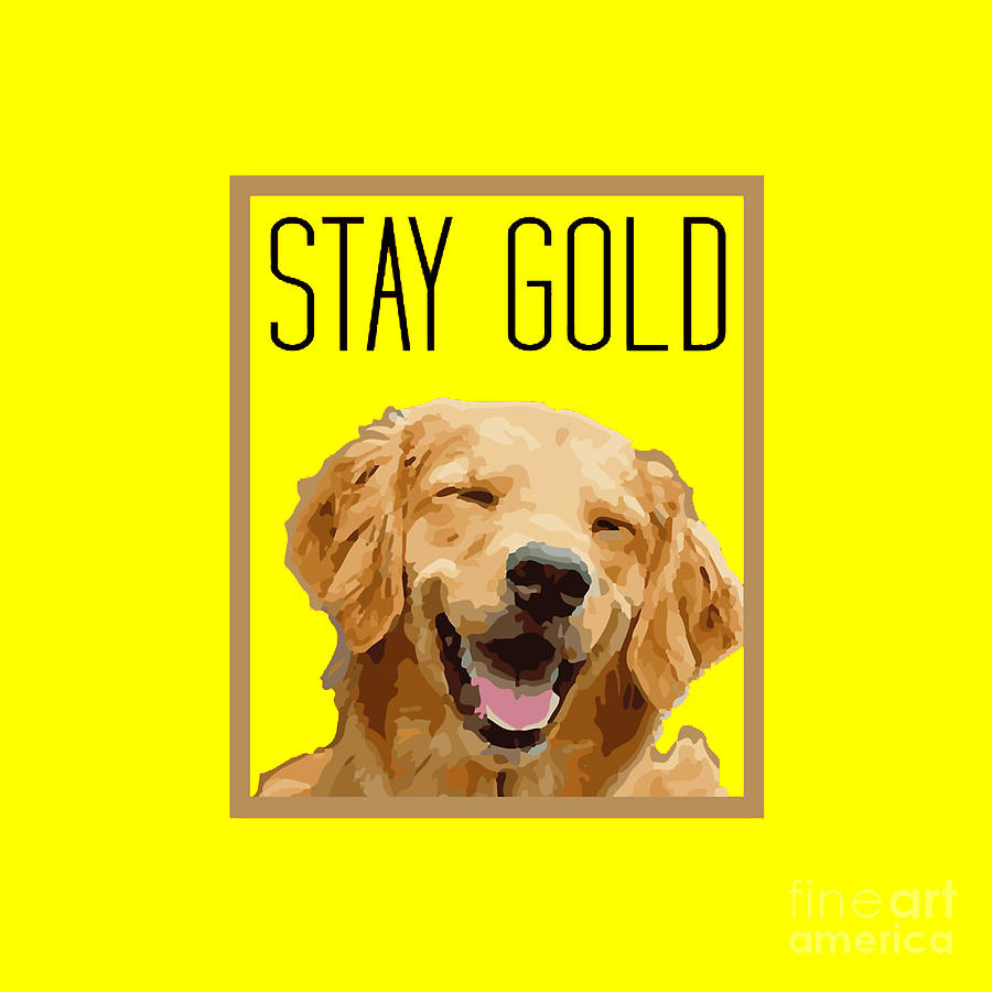 Stay Gold Drawing By Arta Simbolon Fine Art America