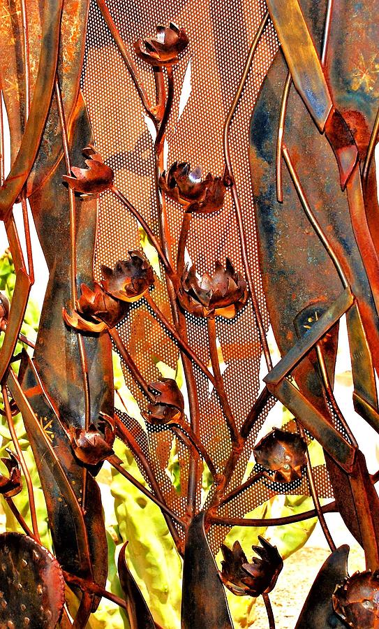 Steel Art Flowers Photograph by Frederick Hahn - Fine Art America