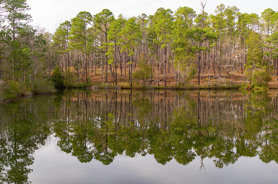 Still Water Photograph by David Hubler - Fine Art America