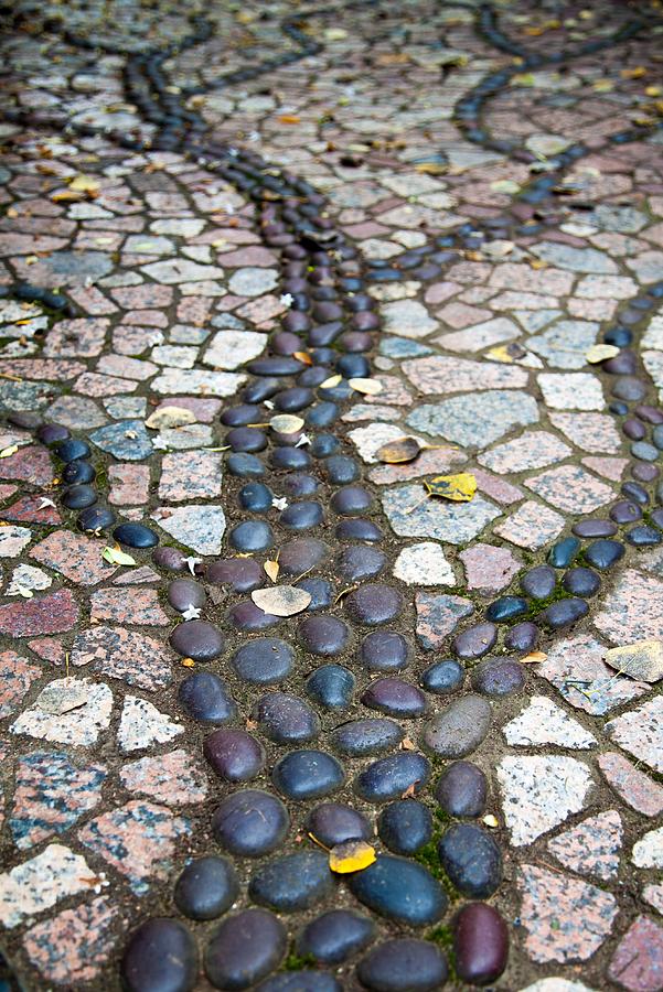 Stone Tree Photograph by Christopher D Elliott - Pixels