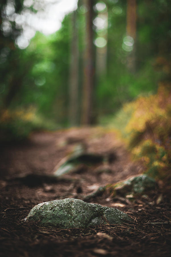 Stonepath Photograph by Michael Hoffman - Fine Art America