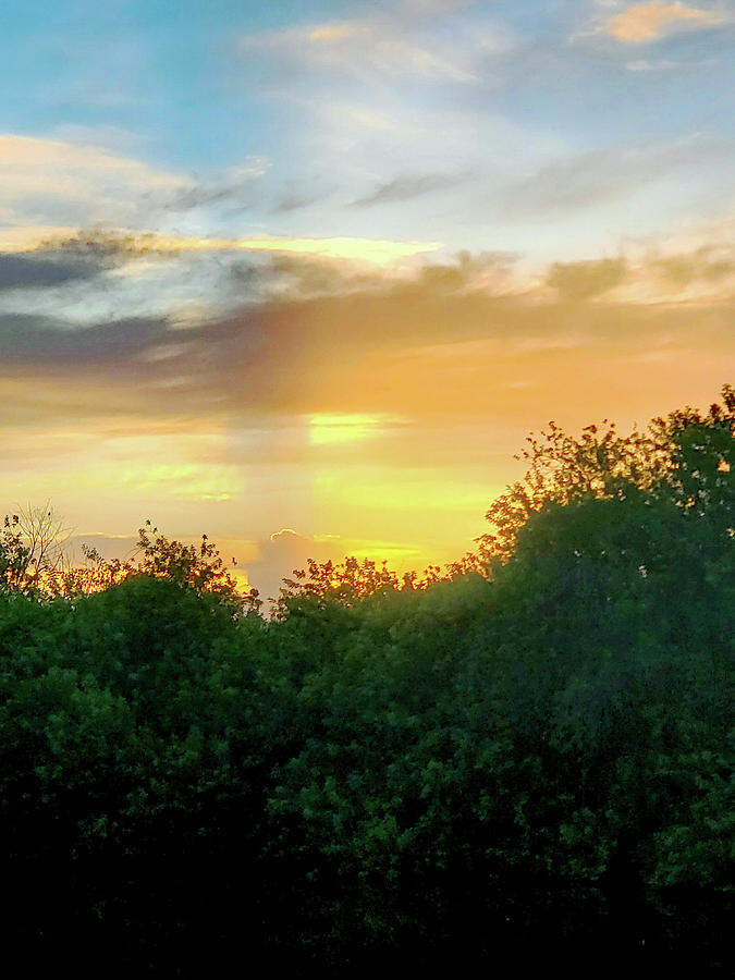 Strange Shadows Vertical Photograph by Sharon Williams Eng - Pixels