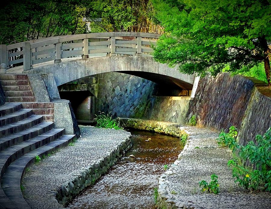 Structure Determines Function Photograph by Dale Furr - Fine Art America